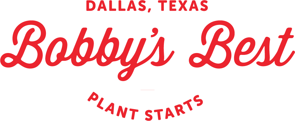 2025 Tomato Pre-Sale 🍅🥫🍅 ! – Bobbys Best Starts